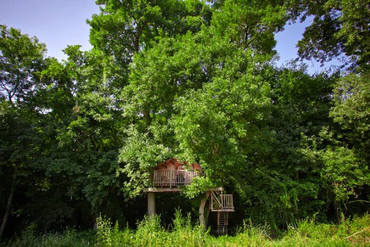 Cabane du Rossignol: Boomhut in Lot en Garonne, Frankrijk
